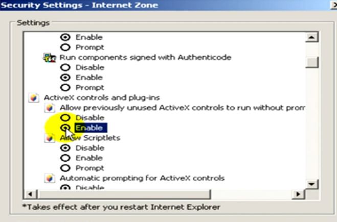 Internet Explore stopped this site from installing an ActiveX control ...