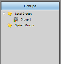How to create a camera group in DS ControlPoint.