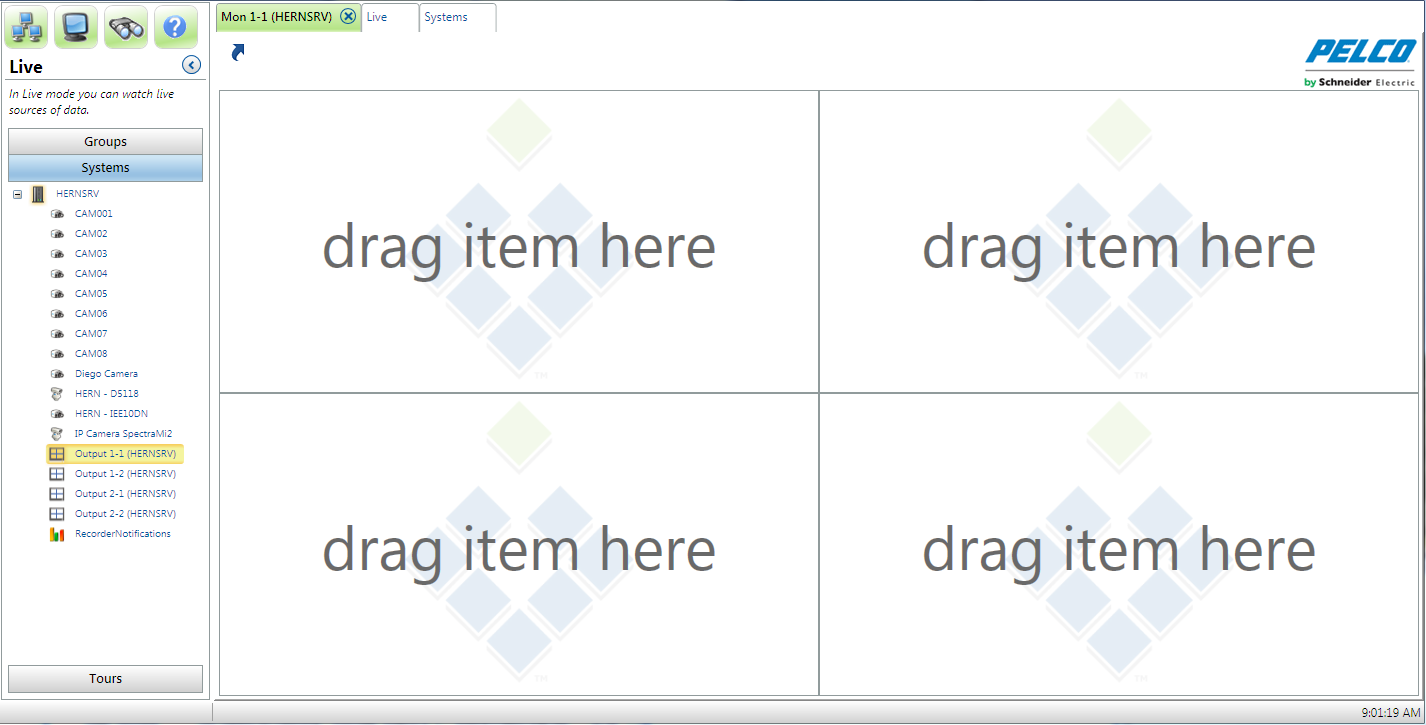 How do I configure the Digital Sentry analog monitor output using DS ...