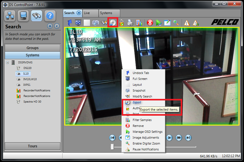 How to export video or an image using DS ControlPoint?