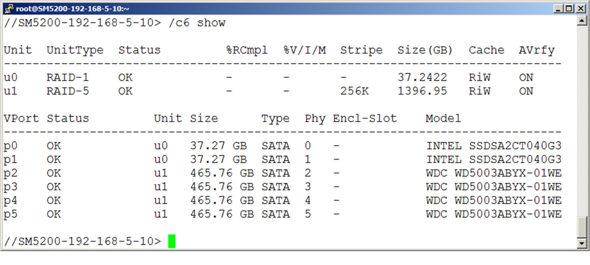 SM5200 Storage Options and RAID diagnostics