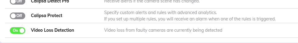 How does Video Loss Detection Work in Calipsa?